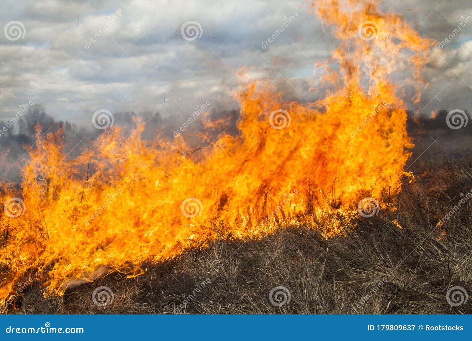 Big fire in the field stock image. Image of closeup - 179809637