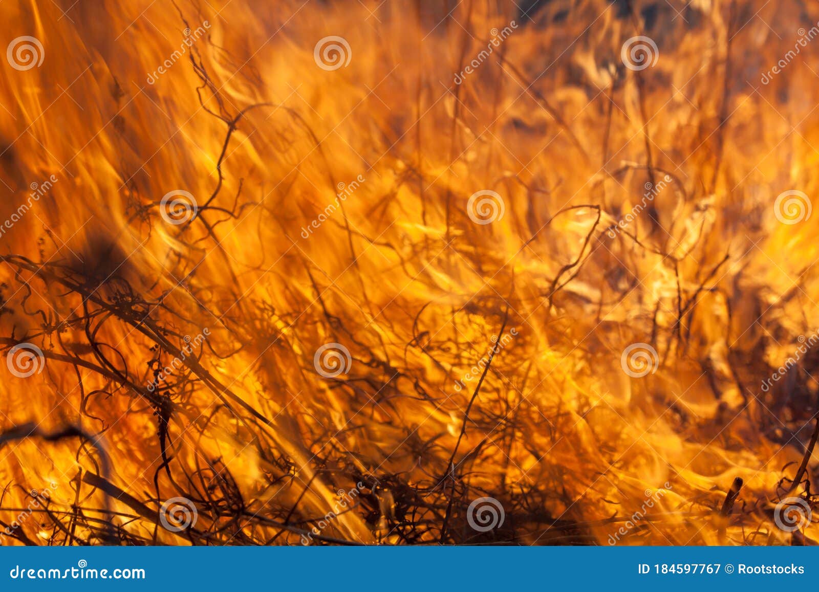 Big fire in the field stock image. Image of field, flame - 184597767