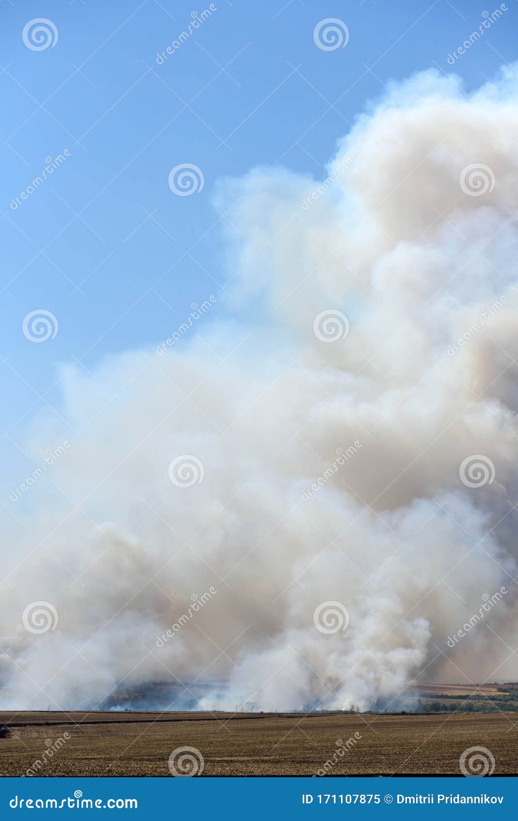 Big Fire in the Forest and in the Field, Thick Smoke High in the Sky ...