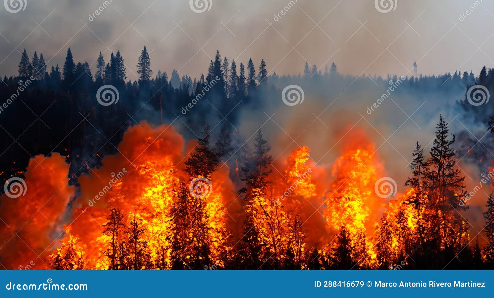 Big Fire in the Middle of the Leafy Forest with Flames Stock Image ...