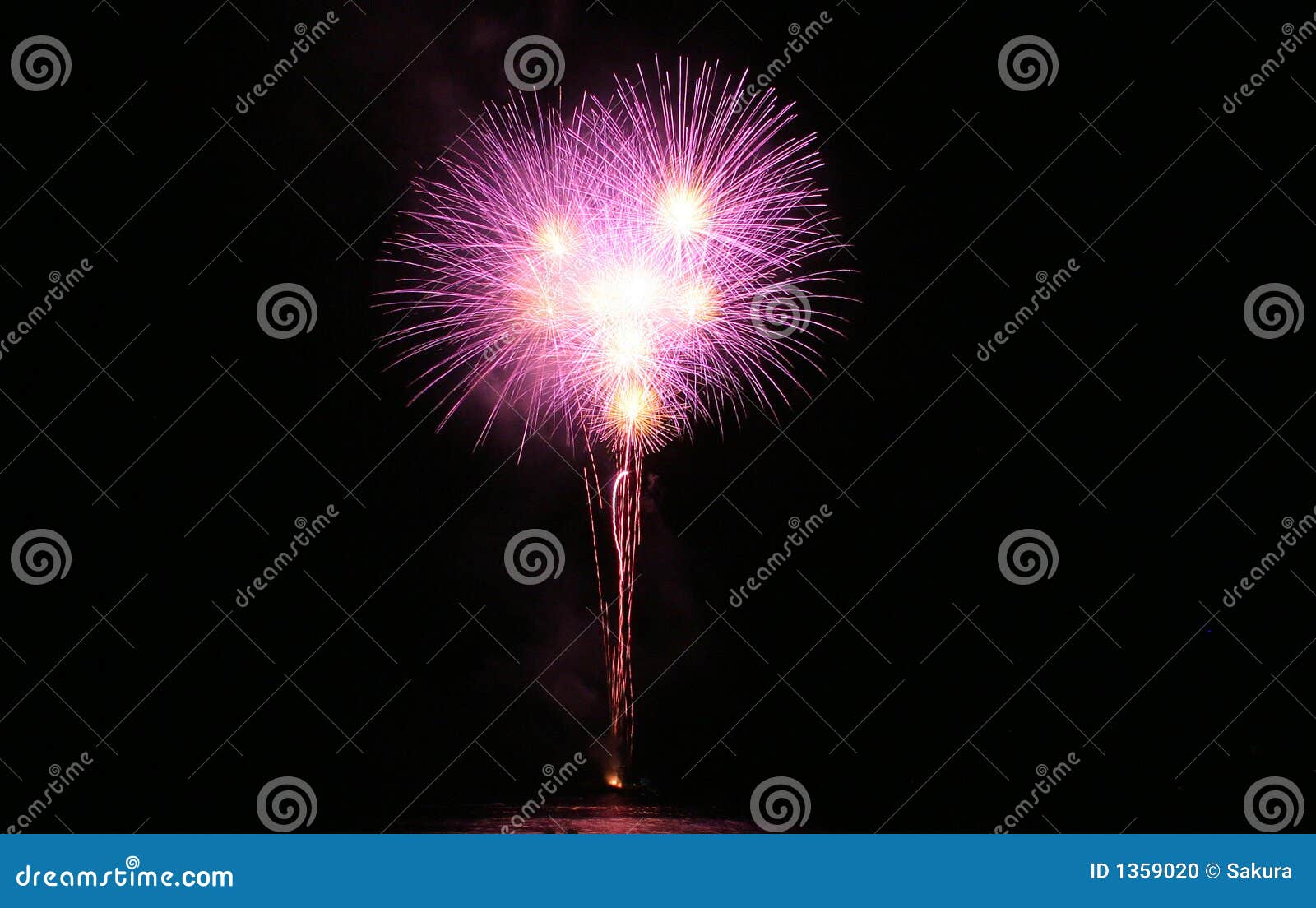 Big Firework stock photo. Image of colors, fire, flower - 1359020