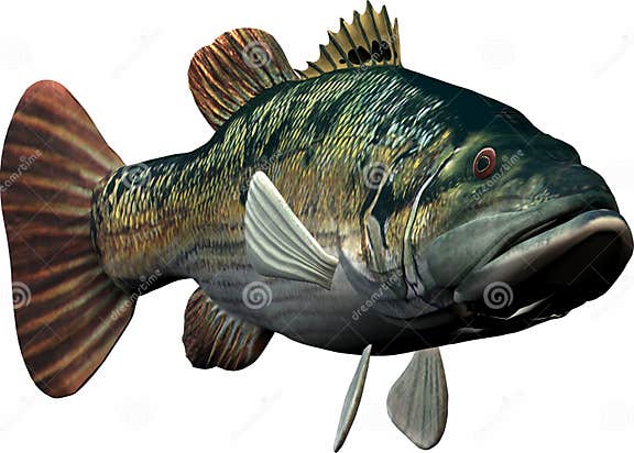 Big fish stock illustration. Illustration of fischen, meerwasser - 693554