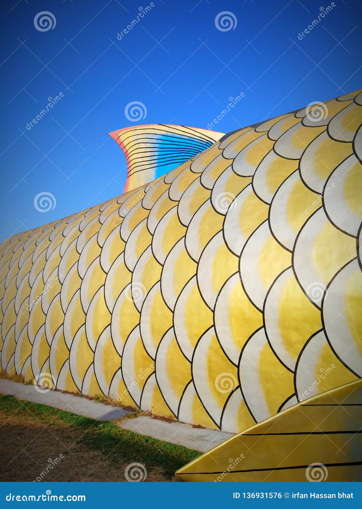 Big Fish Design stock photo. Image of park, fish, nature - 136931576