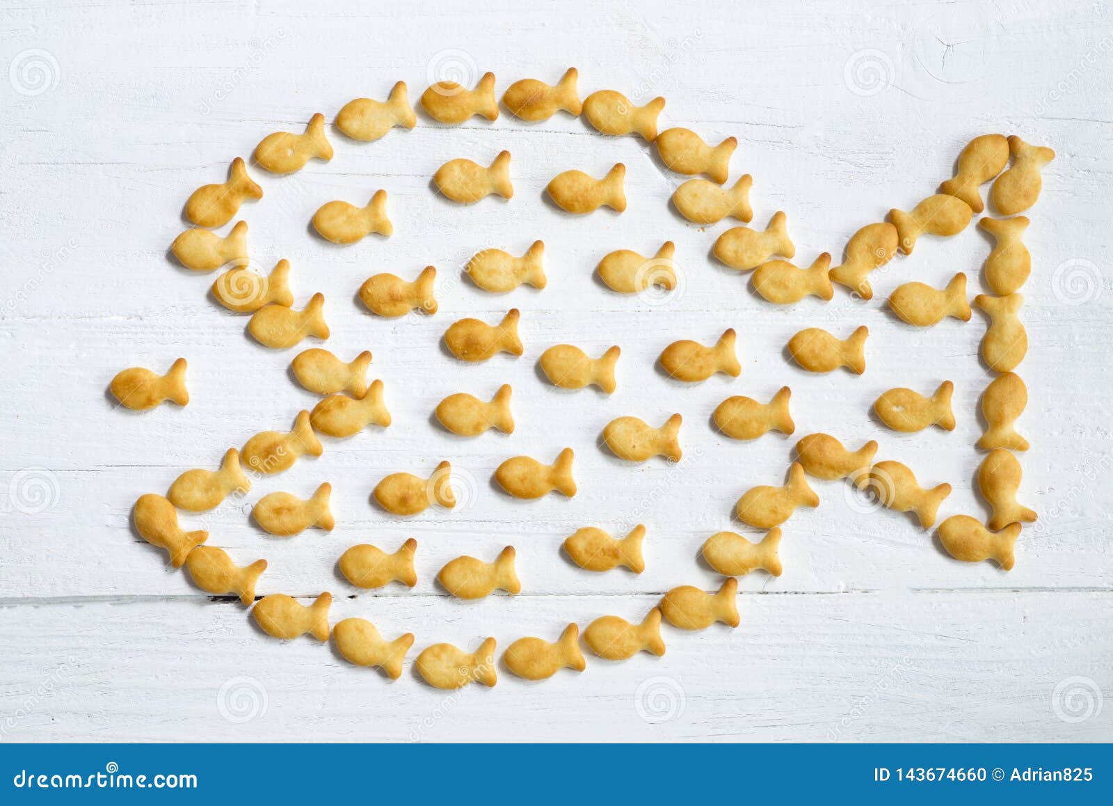 Big Fish Small Fish Teamwork Concept Photos - Free & Royalty-Free Stock ...