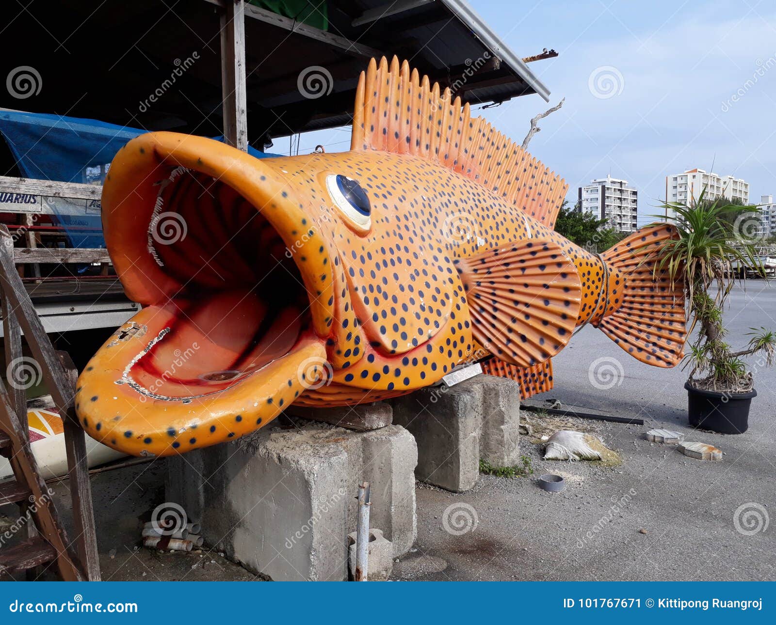 Thee Fish Stock Photos - Free & Royalty-Free Stock Photos from Dreamstime