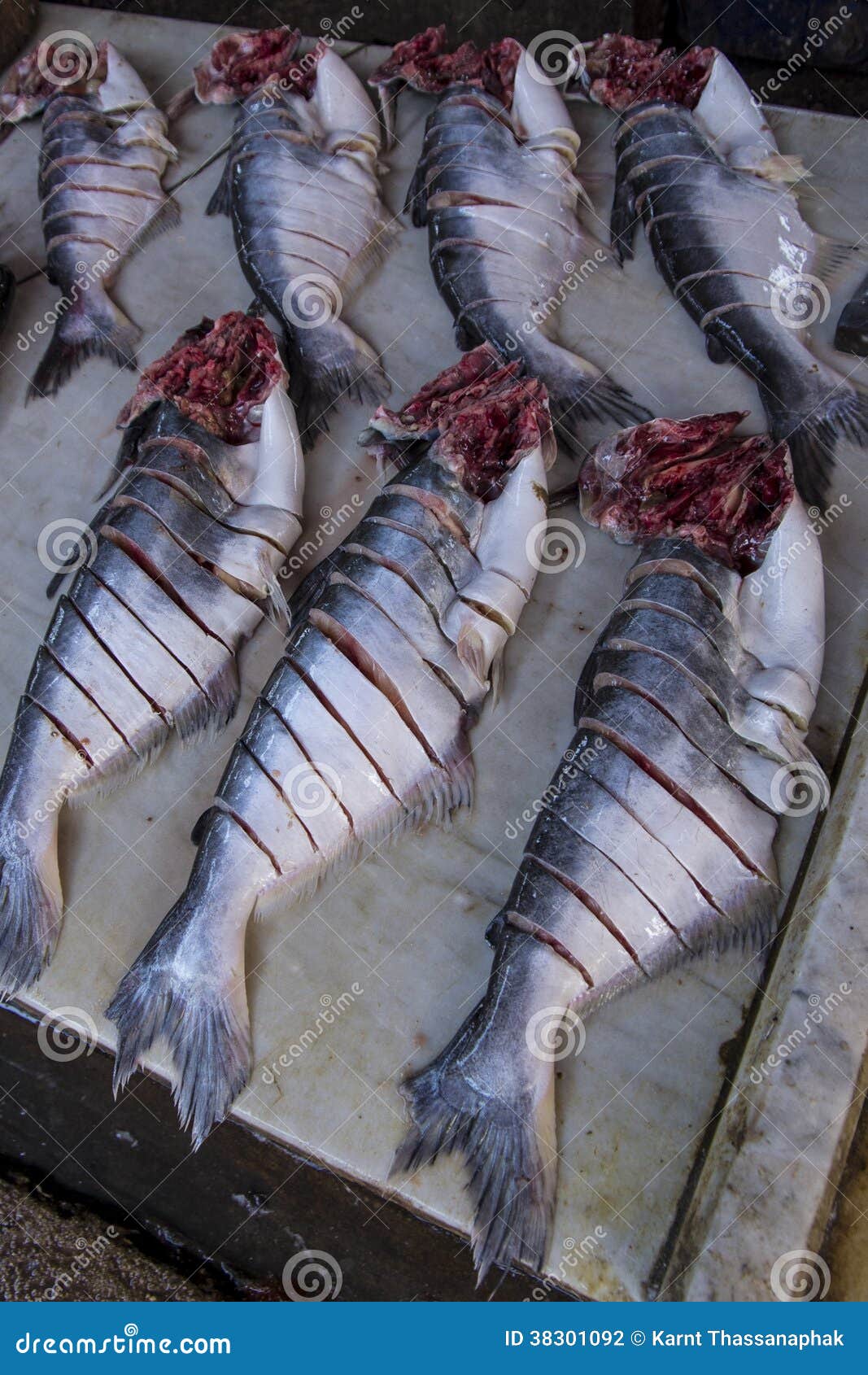 A big fish in Myanmar stock photo. Image of fish, market - 38301092