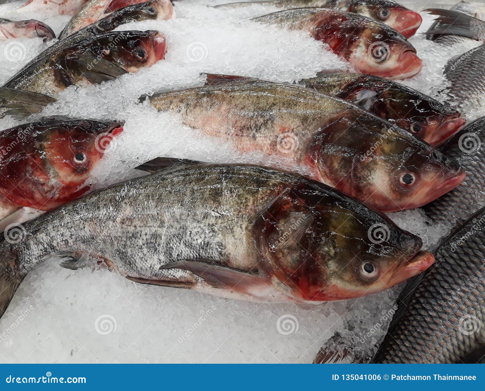 Big Fish in the Shop Selling Fresh and Appetizing Seafood Stock Photo ...