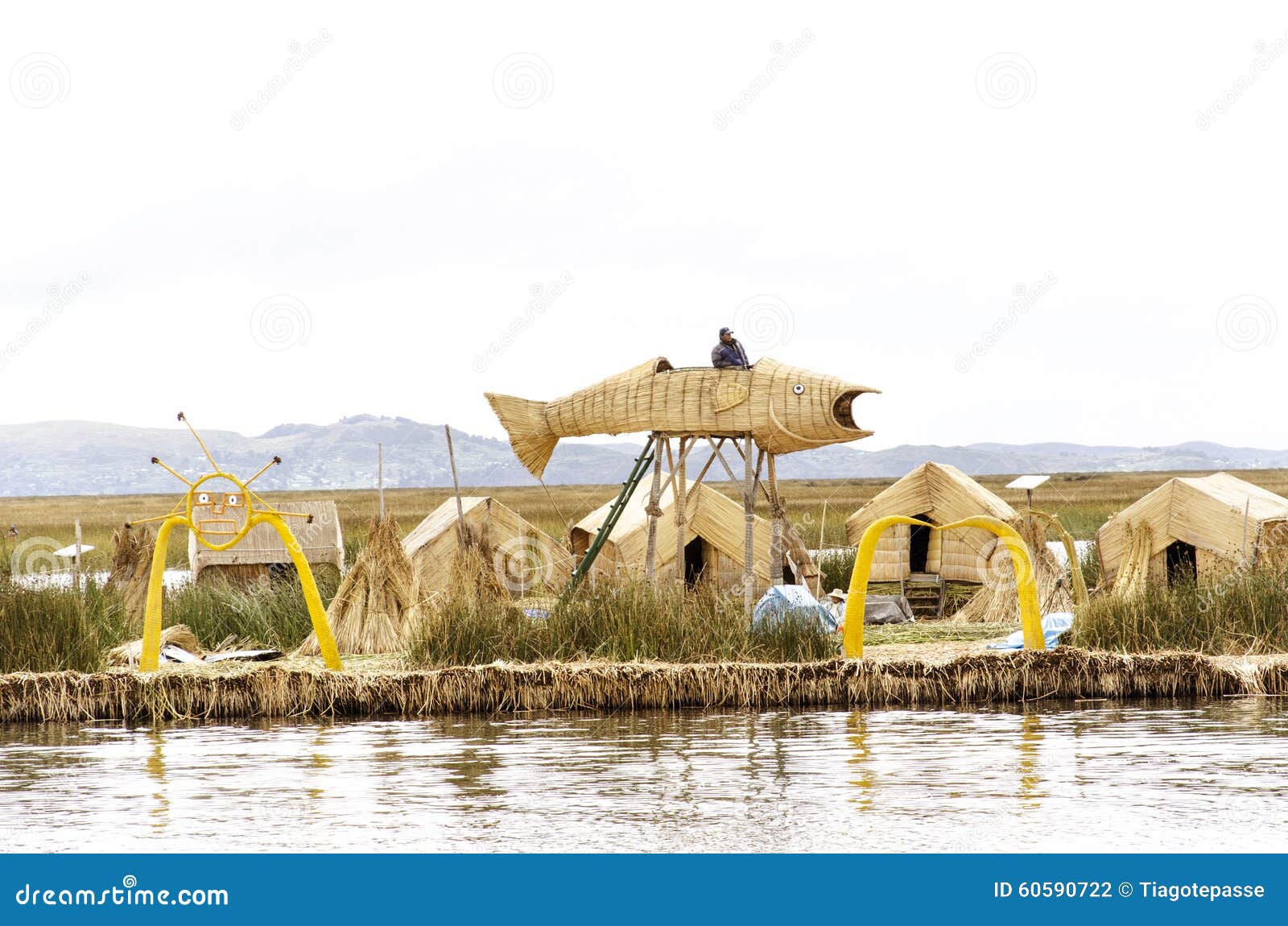 Big Fish on the Uros Island Editorial Photography - Image of frog, peru ...