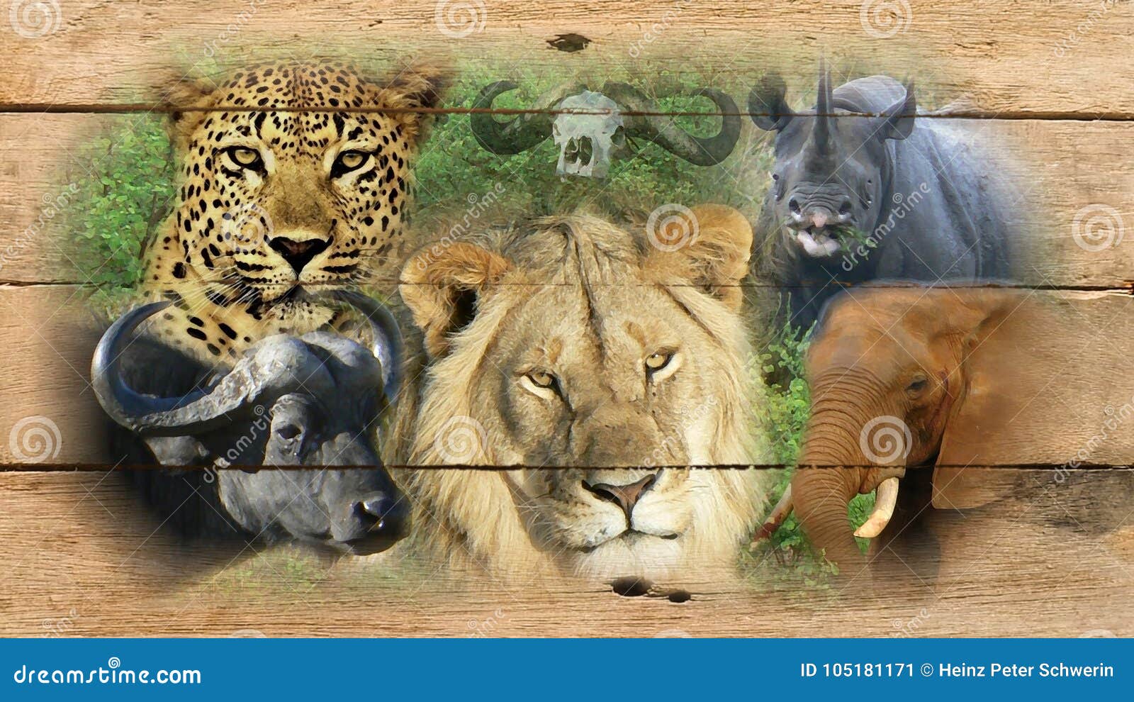 Set Of Big Five Animals Silhouettes. Lion, Elephant, Rhino, Leopard And ...