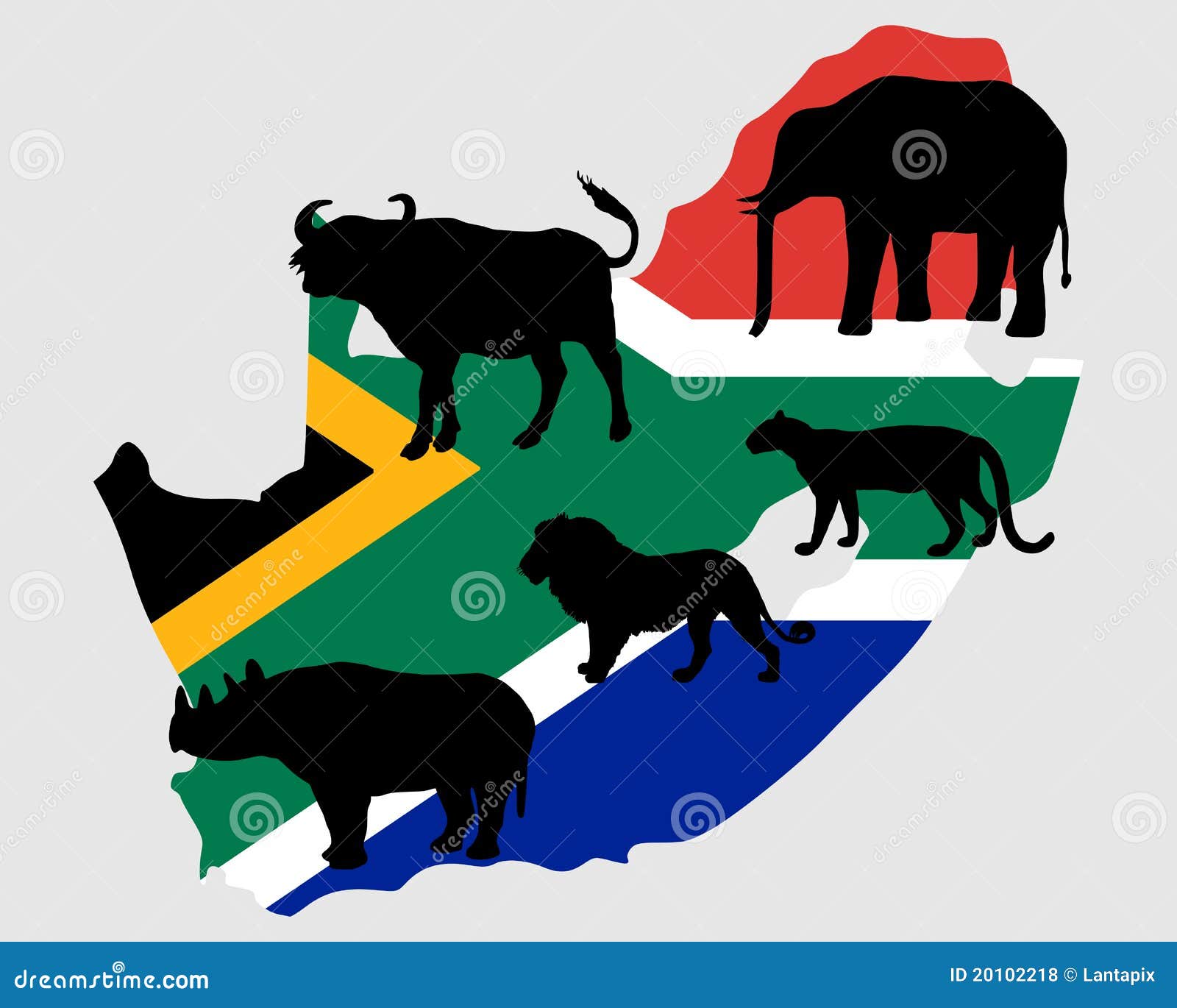 Big Five South Africa stock vector. Illustration of animal - 20102218