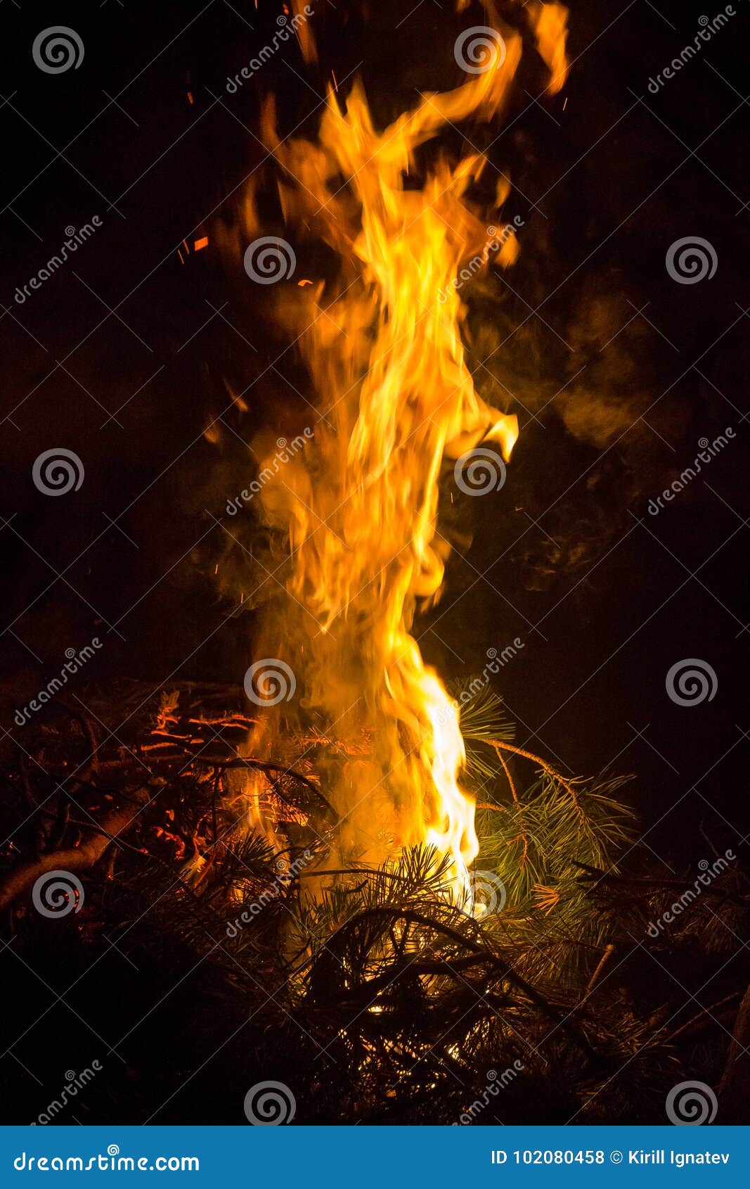 Big Vertical Flame Night Campfire Stock Photo - Image of hell, great ...