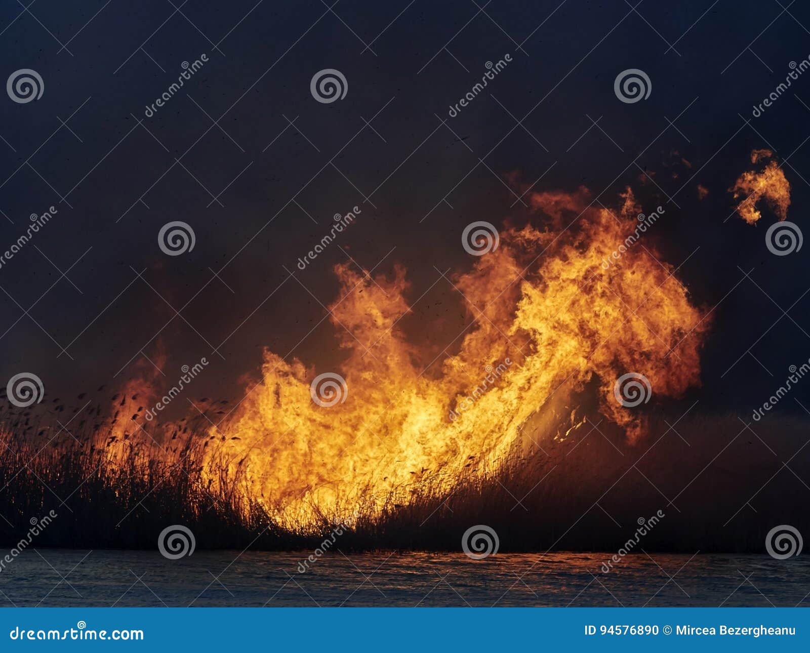 Big Flames on Field during Fire Stock Photo - Image of field, fire ...