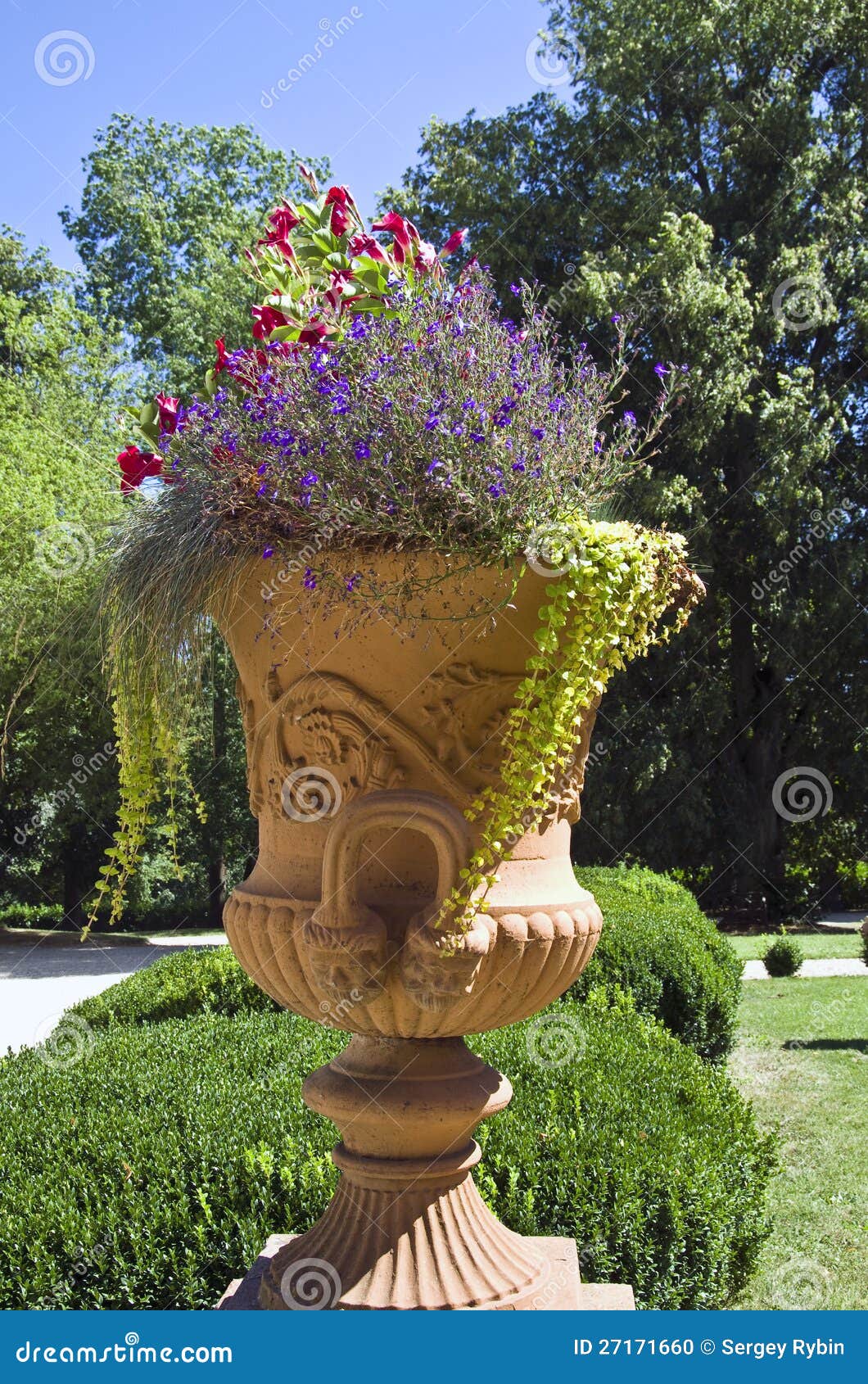 Big flower pot. stock photo. Image of plant, blossom - 27171660
