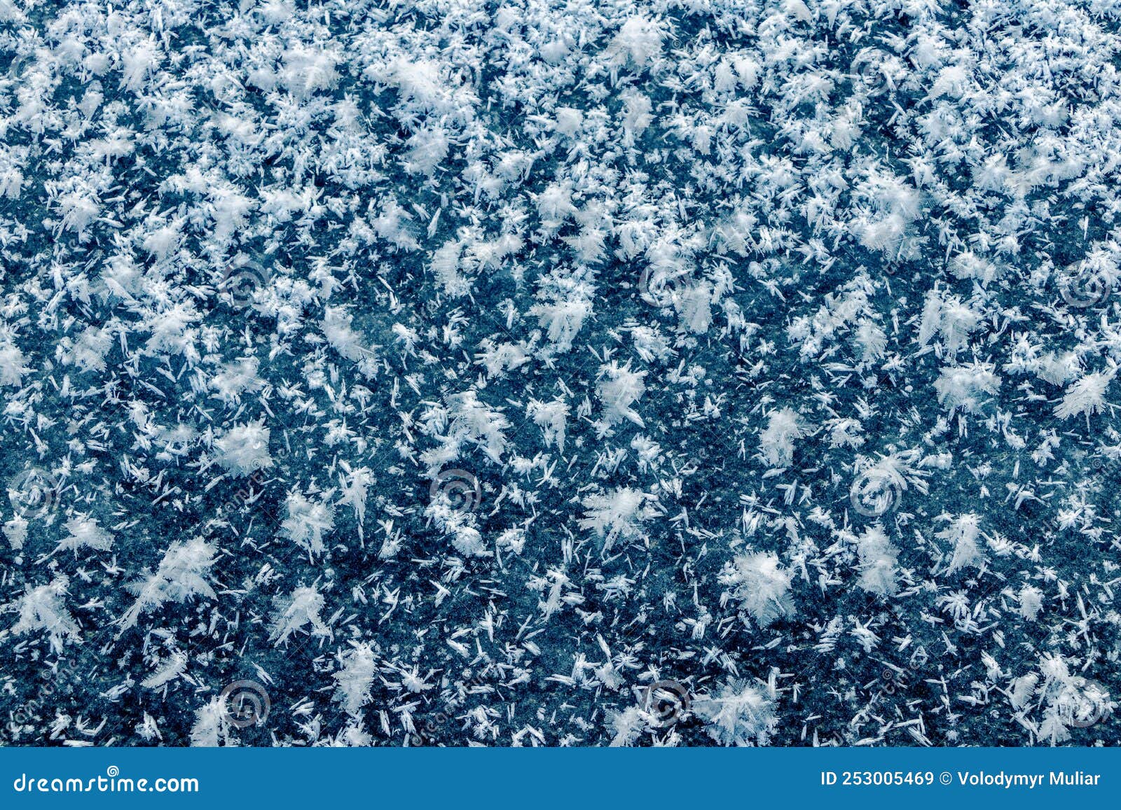 Big Fluffy Snowflakes on the Surface of the Ice. Winter and Christmas ...