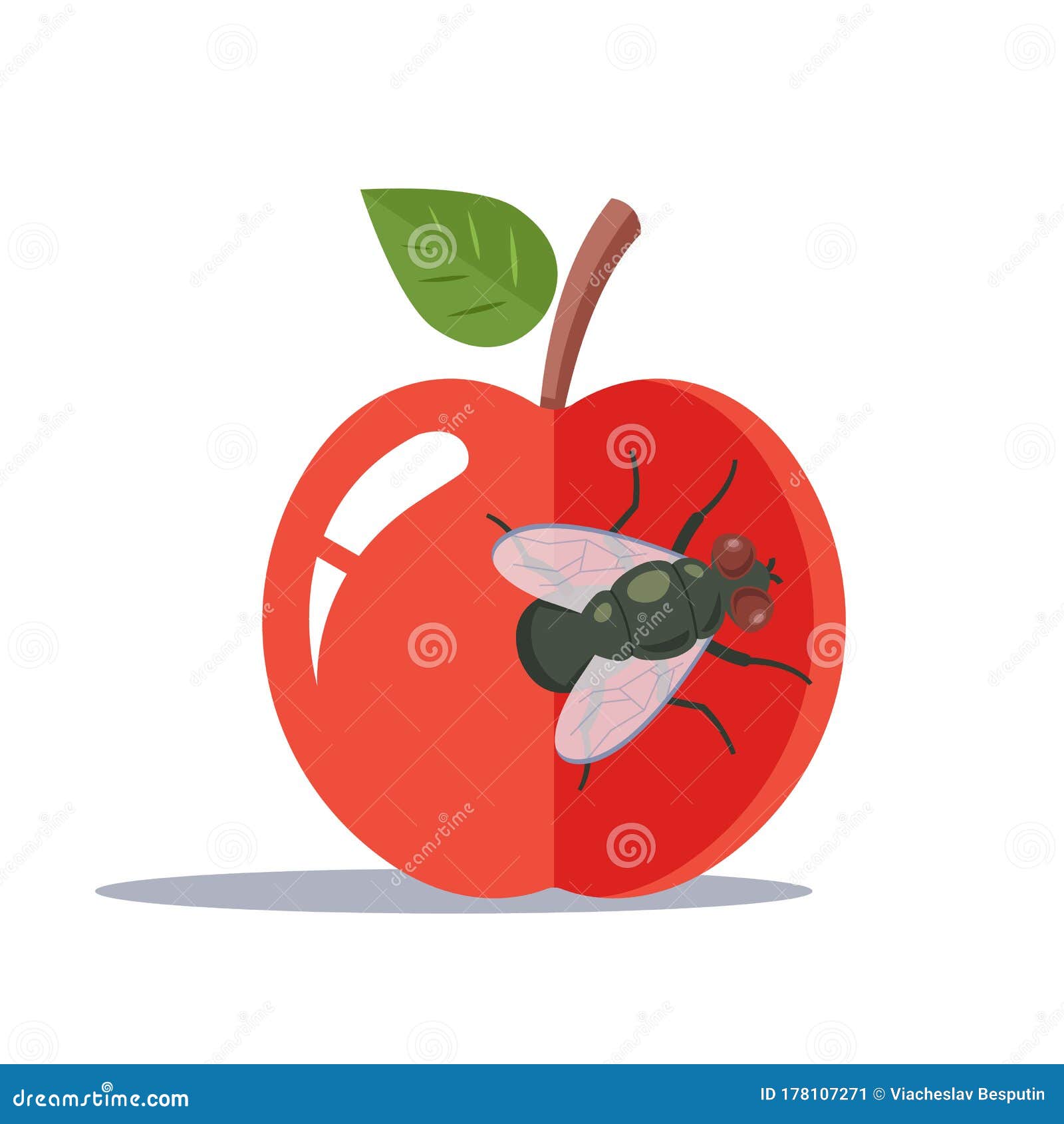 A Big Fly Sits on a Red Apple. Stock Vector - Illustration of leaf ...