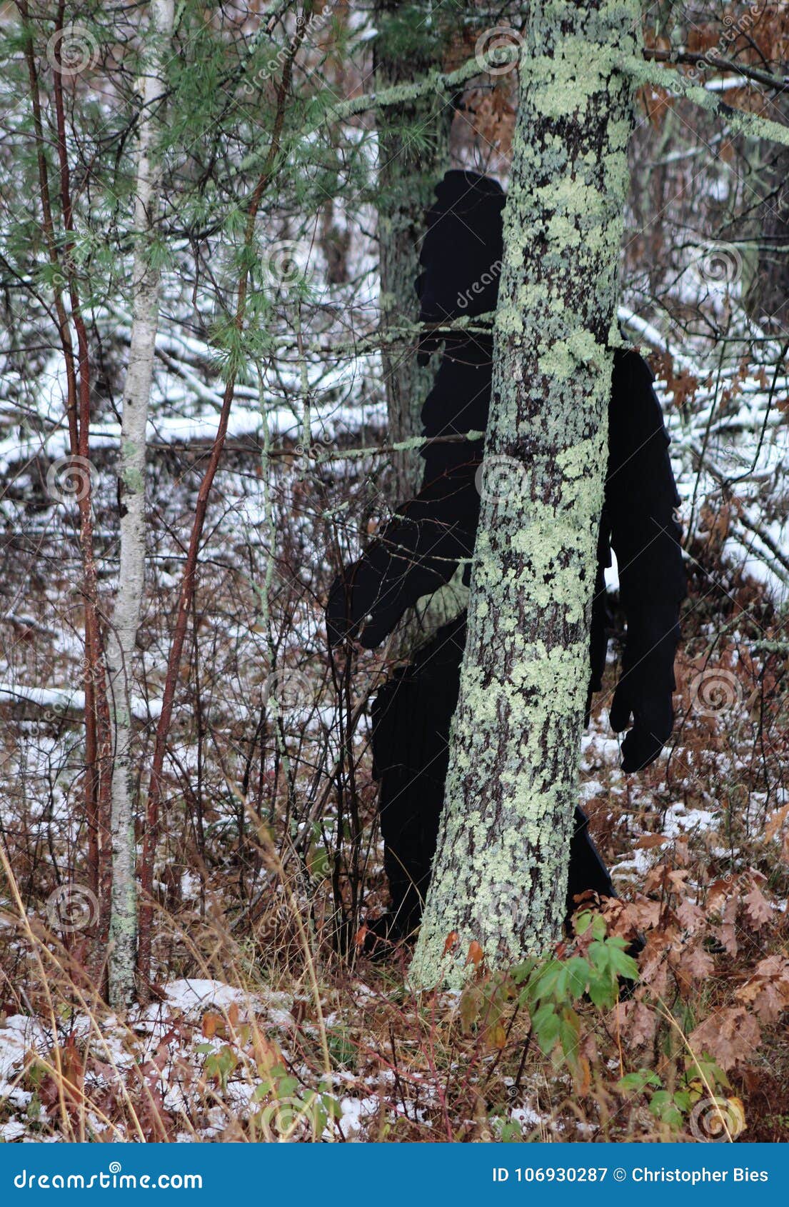 Big Foot Walking through a Forest Stock Image - Image of shape ...