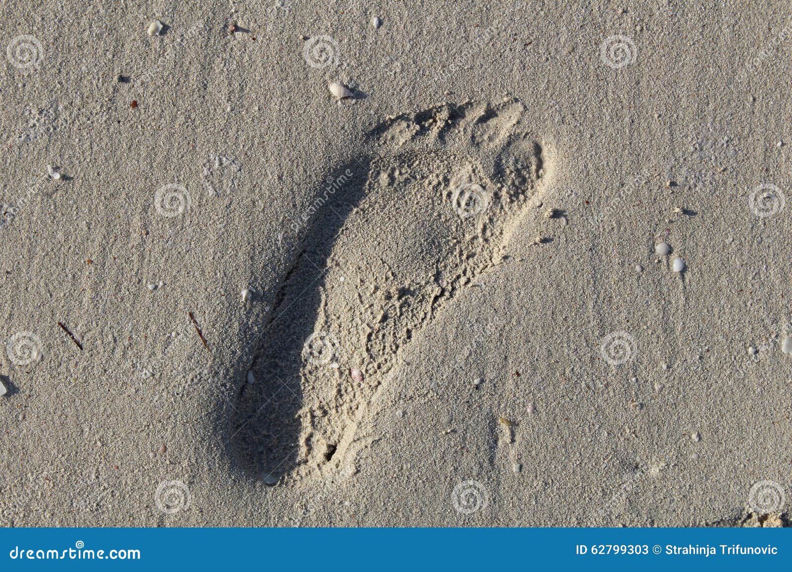Big footprint. stock image. Image of beach, left, alternative - 62799303