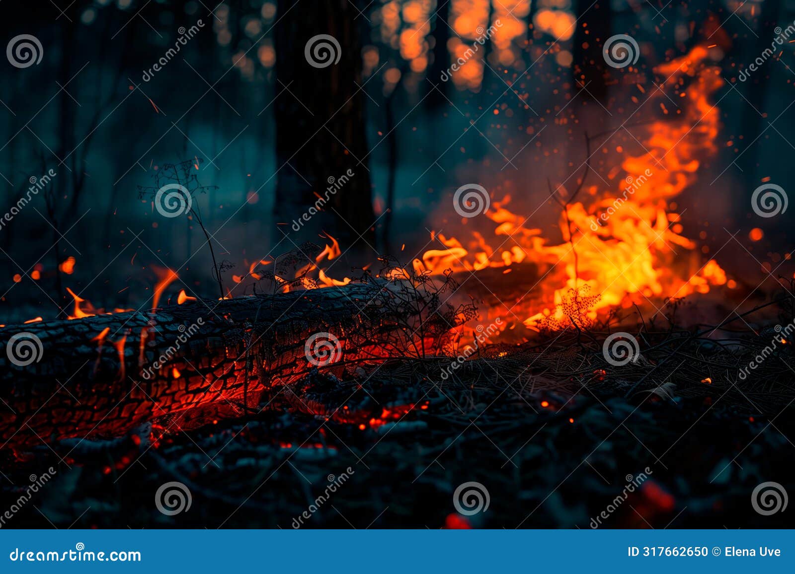 Forest in Fire with Big Flames in the Darkness. Stock Illustration ...