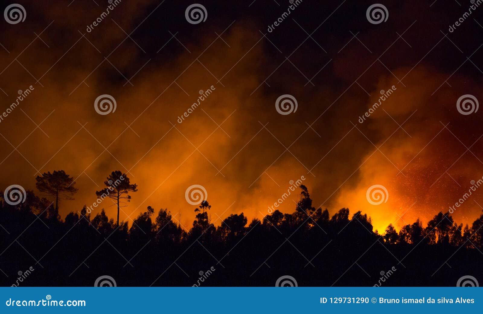 Big Forest Fire during Night. Stock Photo - Image of scene, forest ...