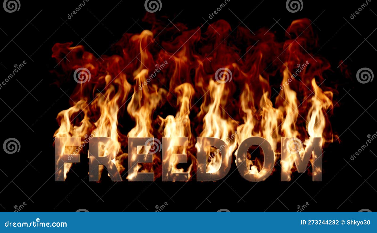Big Freedom Word on Fire with High Flames on Black Stock Illustration ...