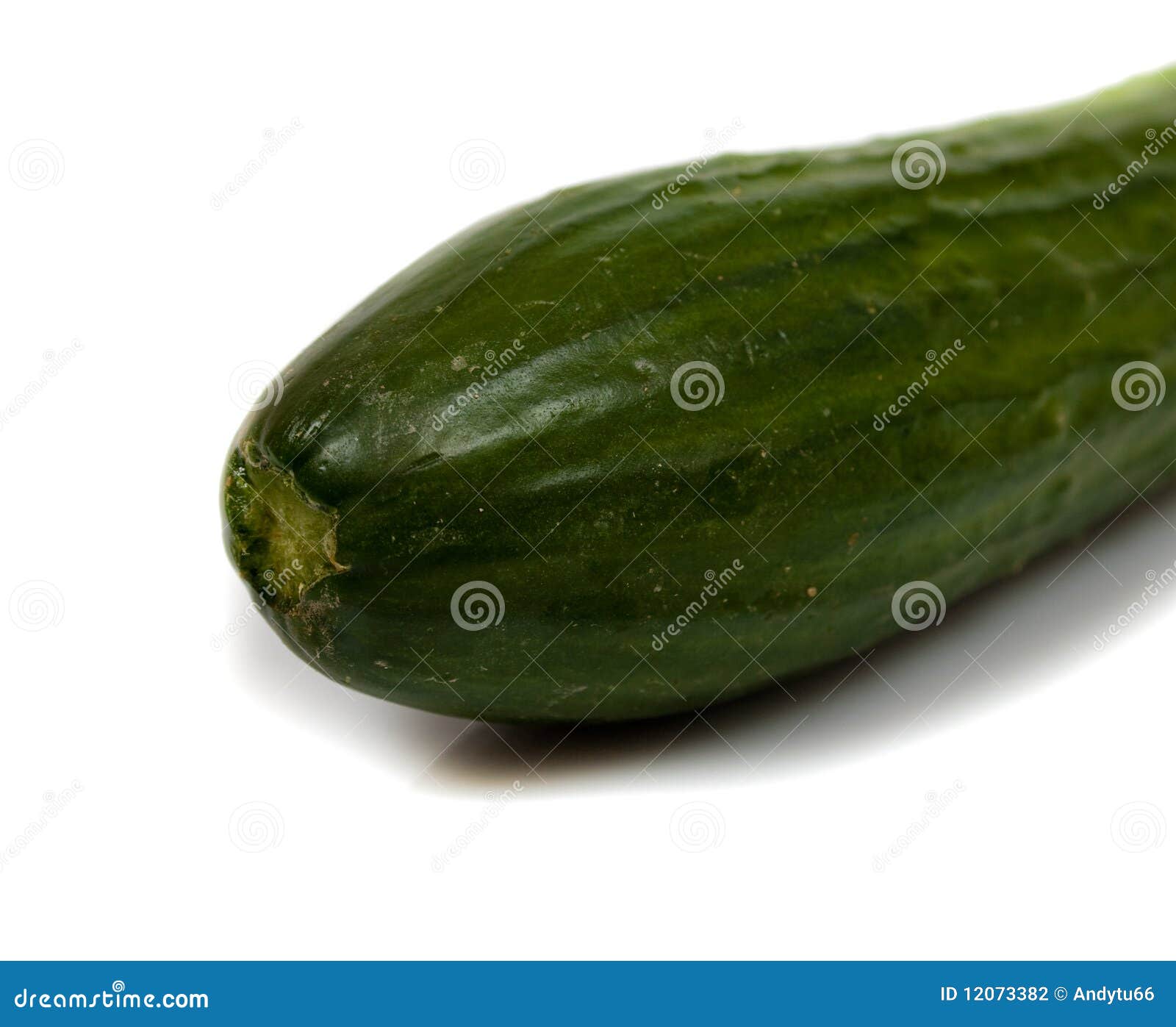Big Fresh Green Cucumber Isolated Stock Photo - Image of vegetable ...