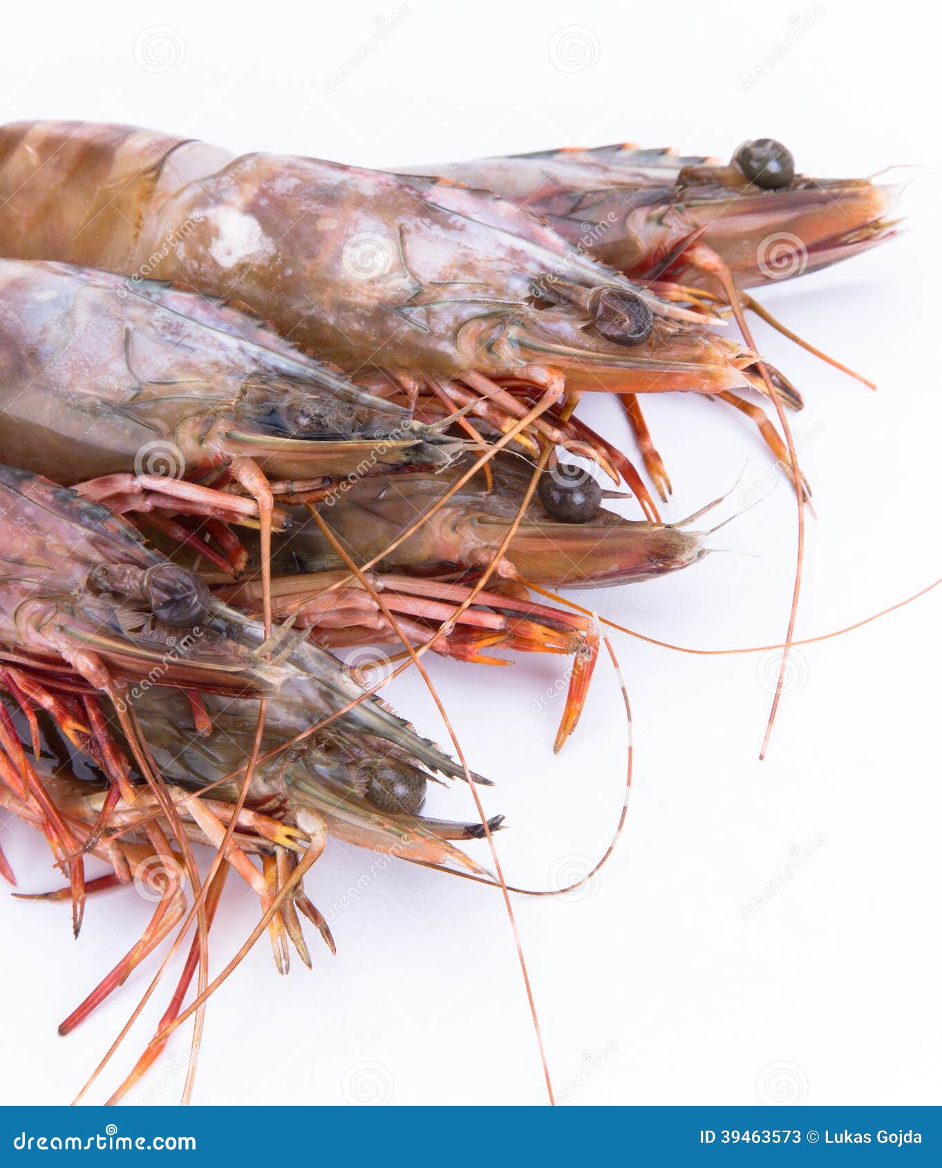 Big fresh tiger prawns stock image. Image of meal, crustacean - 39463573