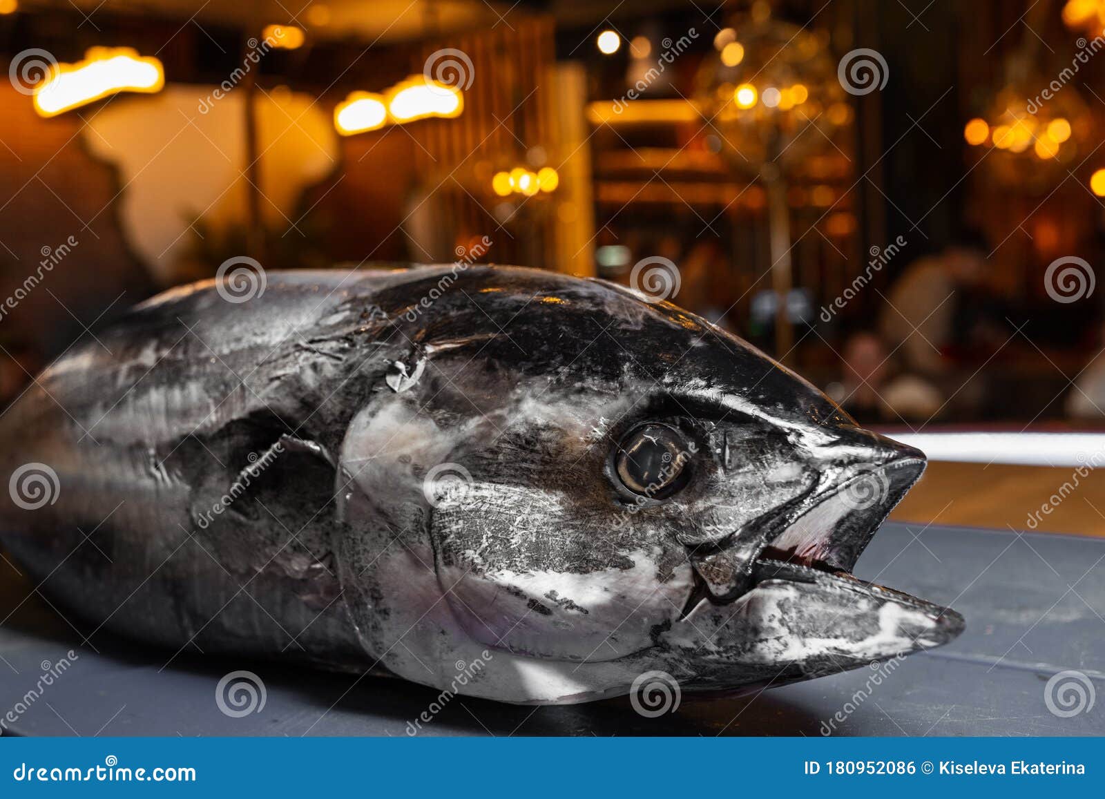 Big Fresh Tuna Fish on the Table. Stock Photo - Image of mediterranean ...
