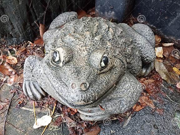 Frogstatue stock image. Image of outdoor, nature, garden - 284679269