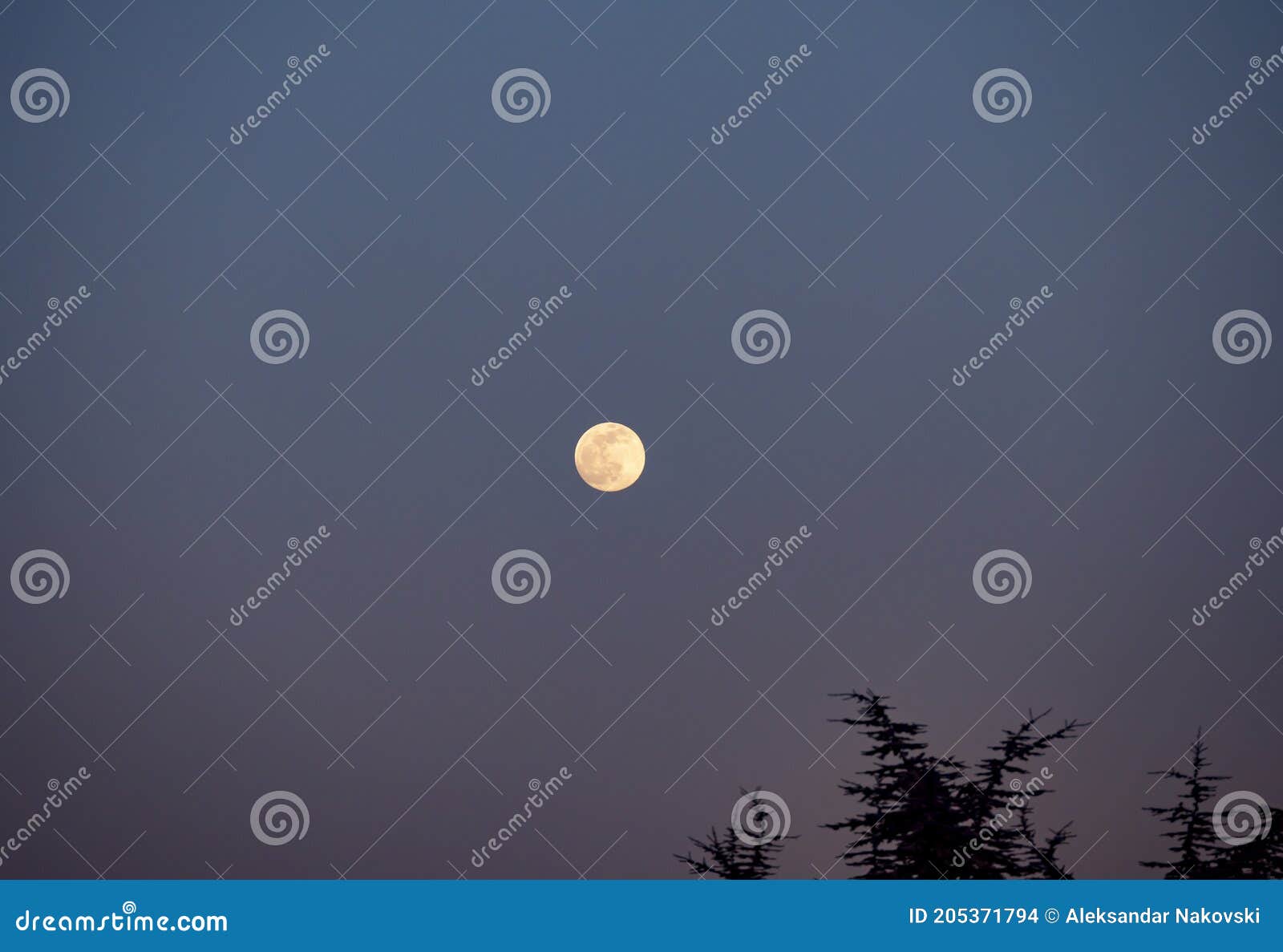 Big full moon at clear sky stock photo. Image of lunar - 205371794