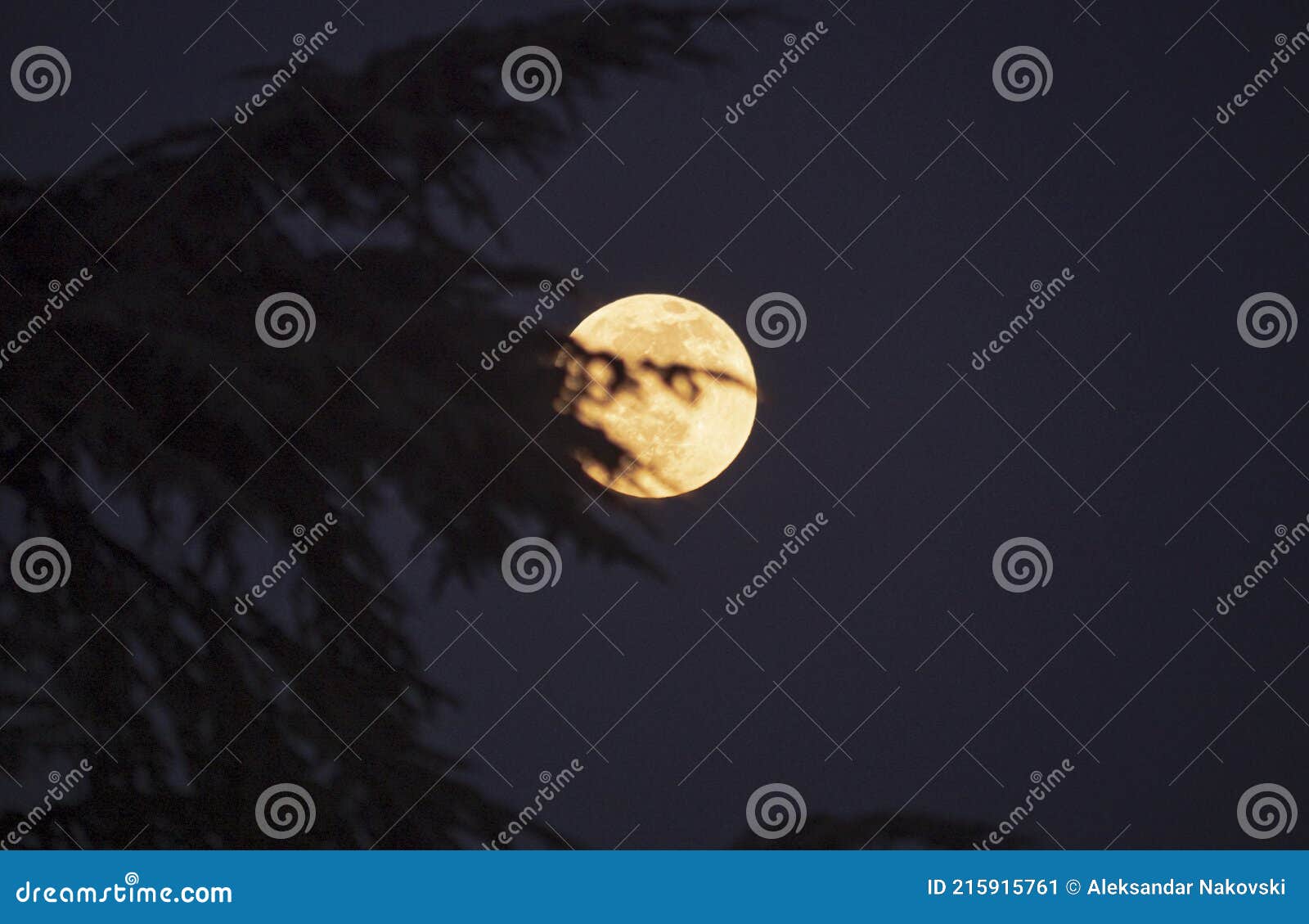 Big full moon at clear sky stock image. Image of planet - 215915761