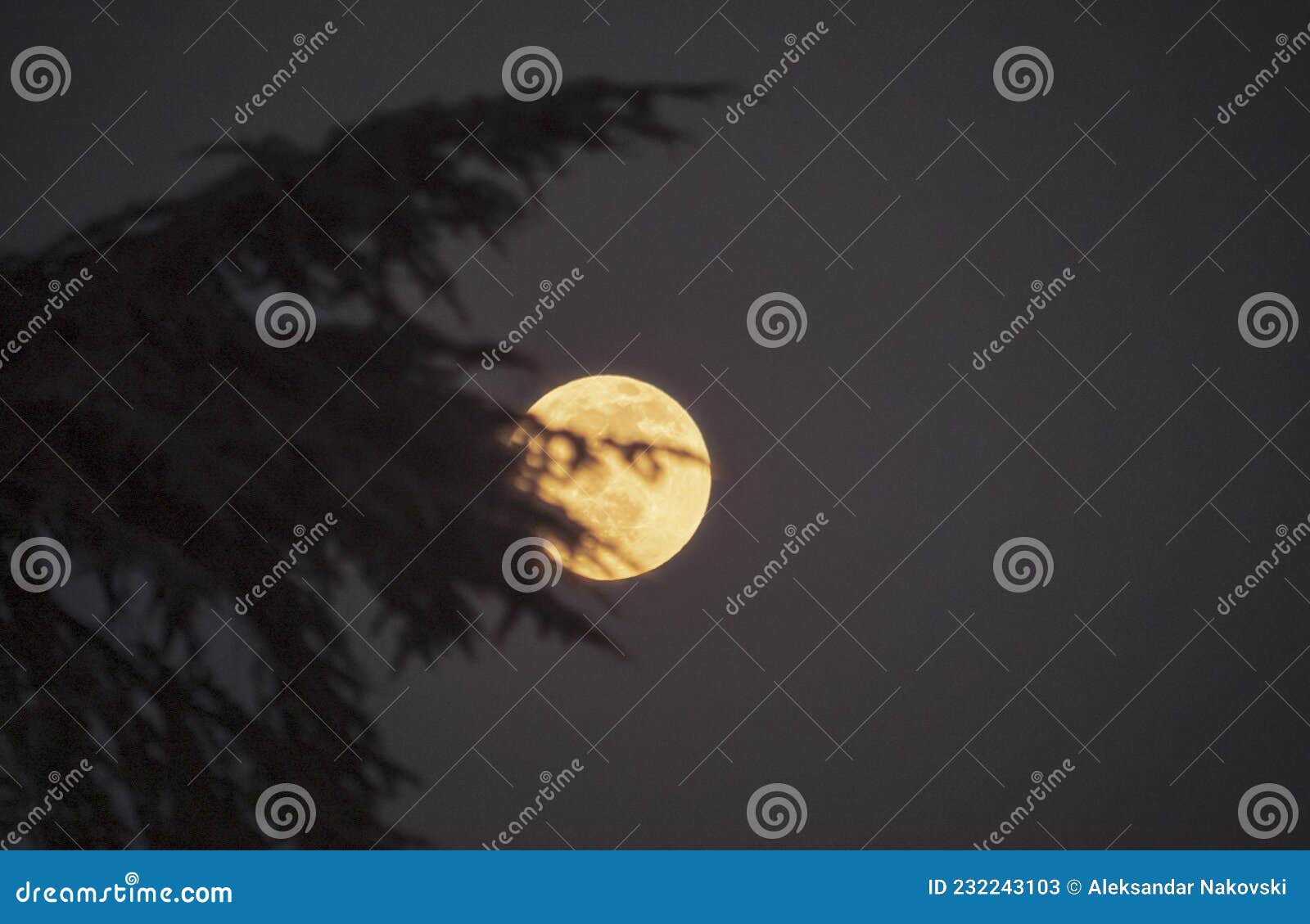 Big full moon at clear sky stock image. Image of black - 232243103