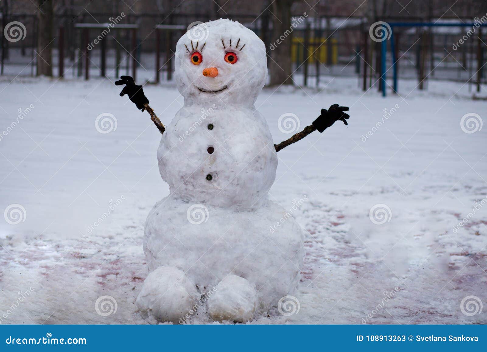 Winter Real Snowman