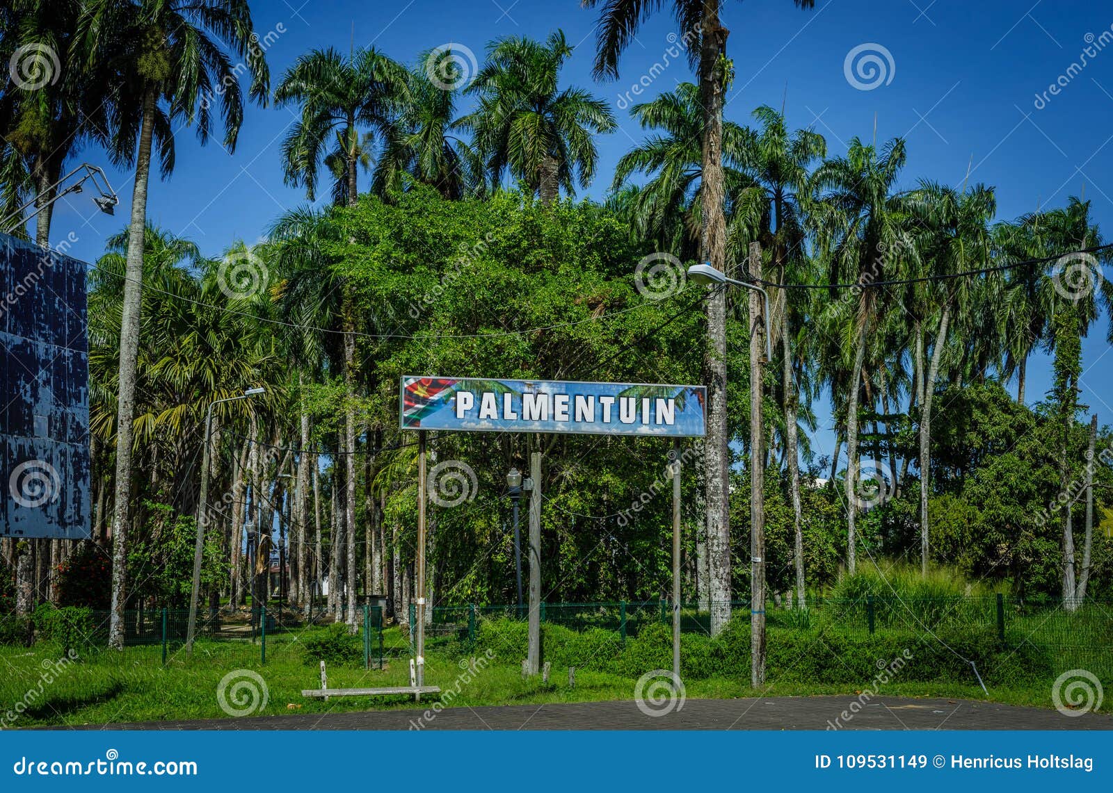 Palmentuin in Paramaribo editorial stock image. Image of landmark ...