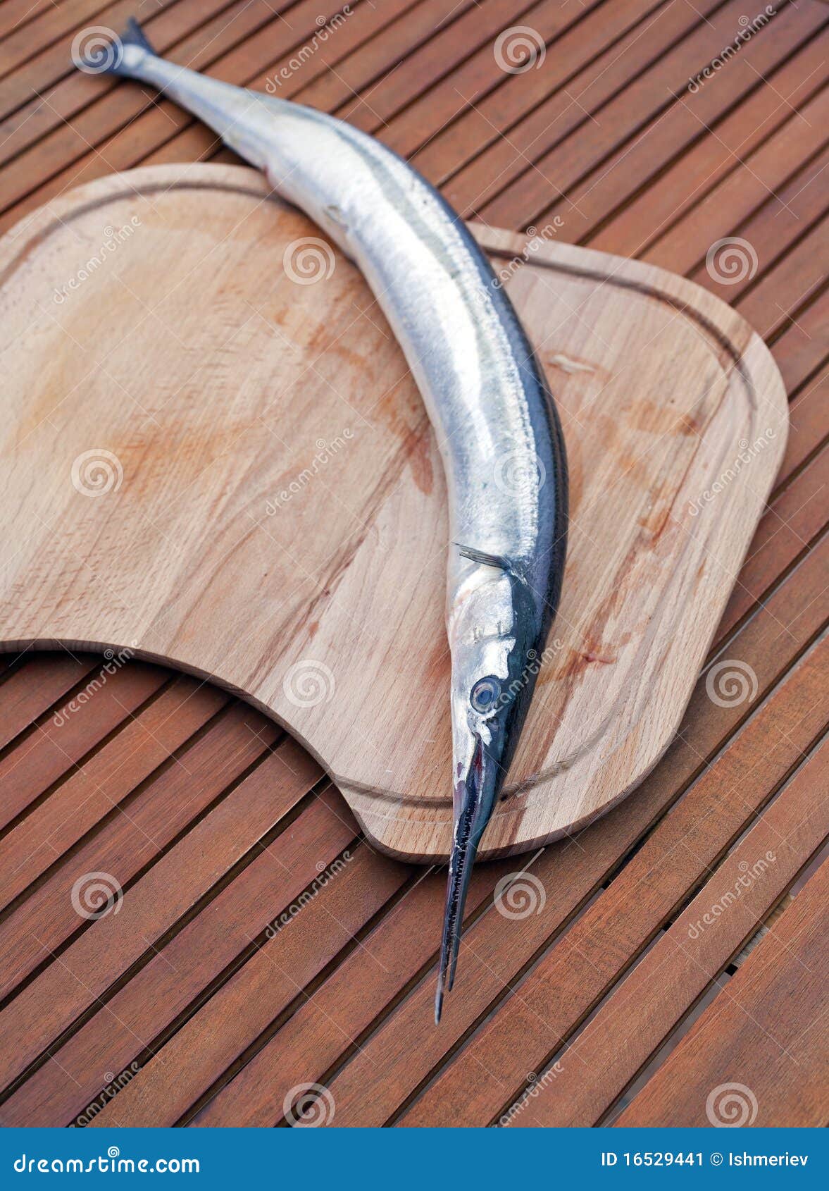 Big garfish stock image. Image of marine, macro, garfish - 16529441
