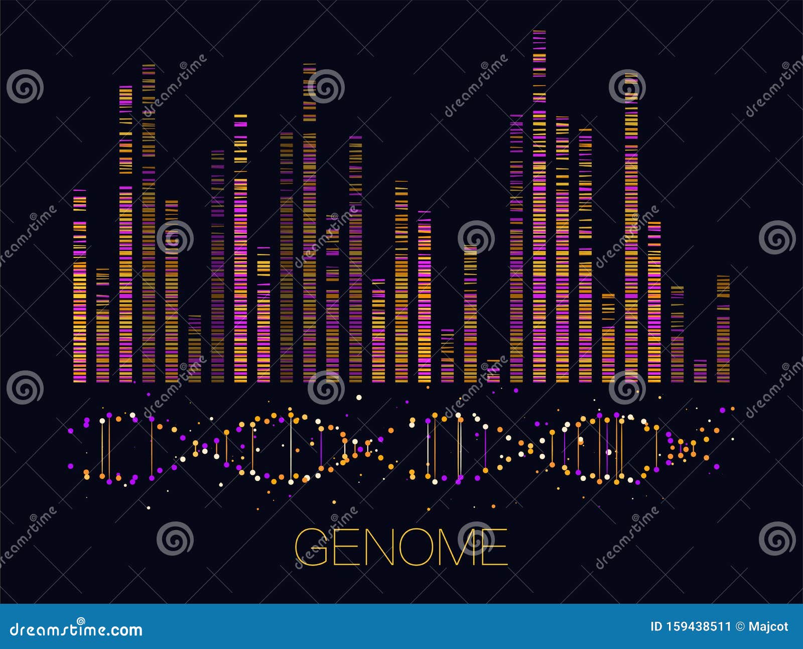 Big Genomic Data Visualization Stock Vector - Illustration of idiogram ...