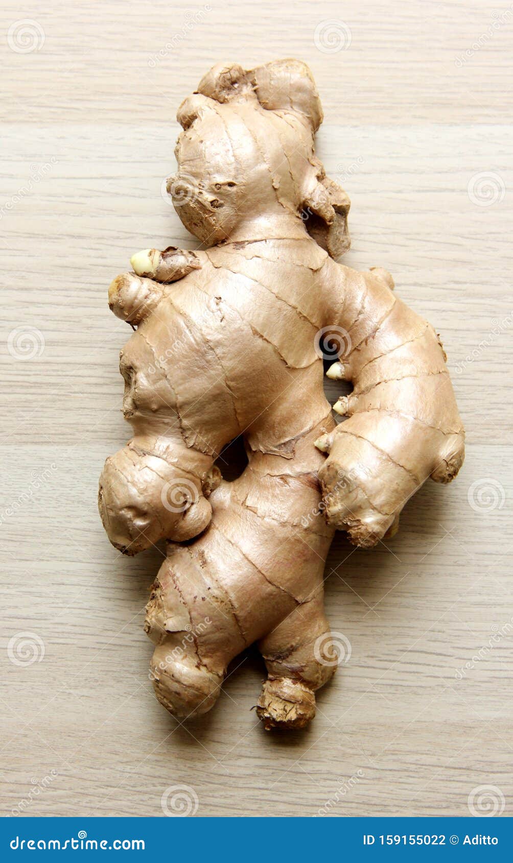 Big Ginger - human shape stock photo. Image of herb - 159155022