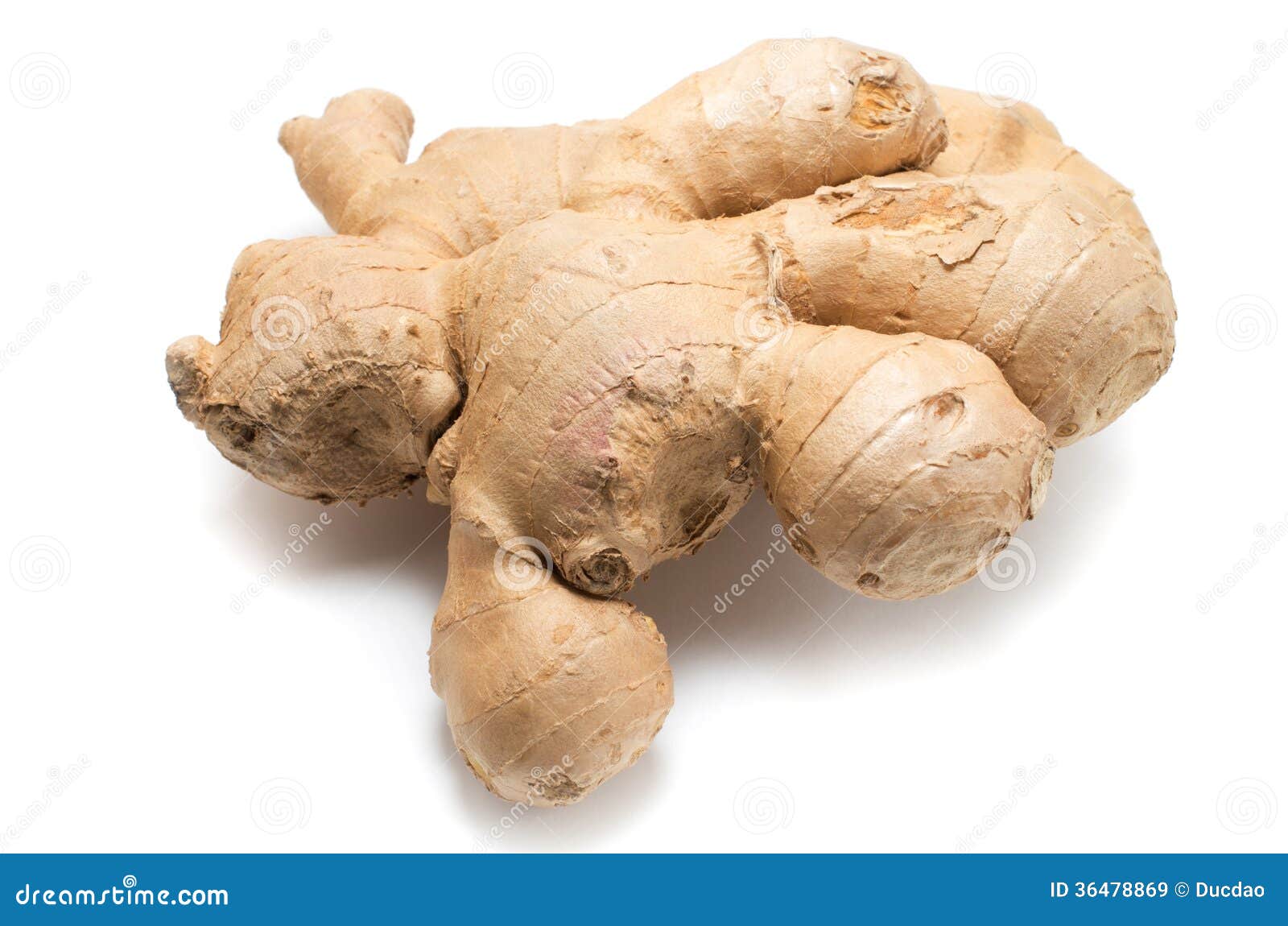 Big Ginger root stock image. Image of root, smell, cuisine - 36478869