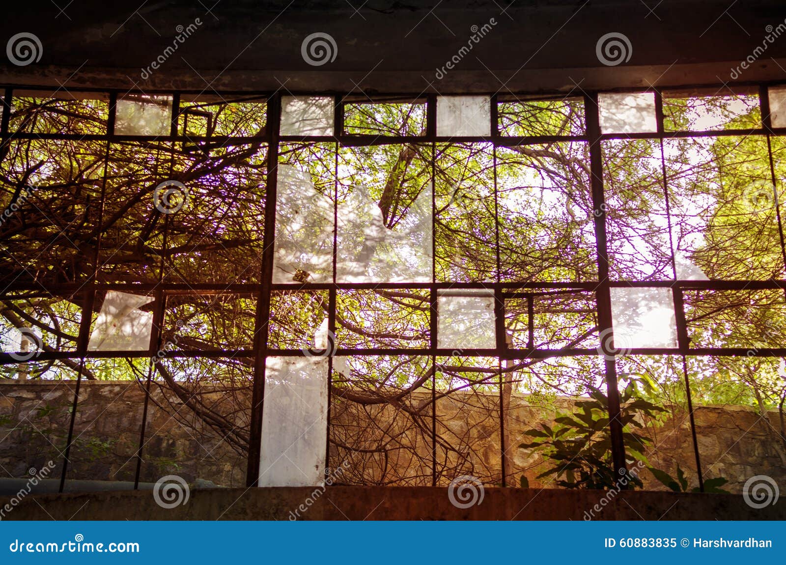 Big Glass Window Colourful Sunlight Stock Image - Image of tree ...