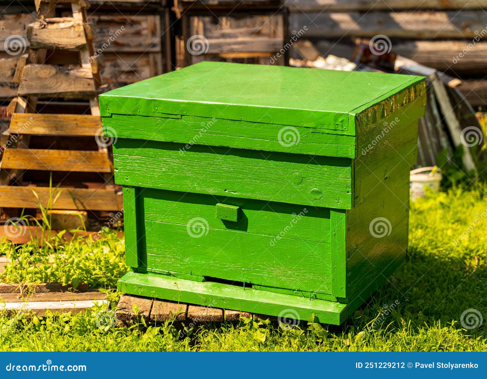 Big green bee hive stock photo. Image of summer, beekeeping - 251229212