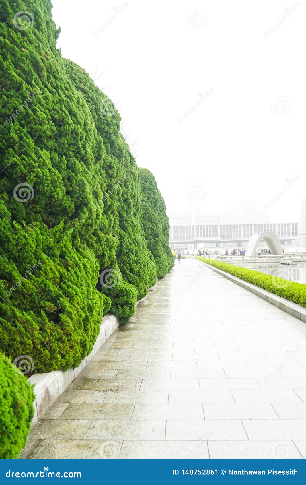 Big Green Bush Along the Path Walk Stock Image - Image of nature, peace ...