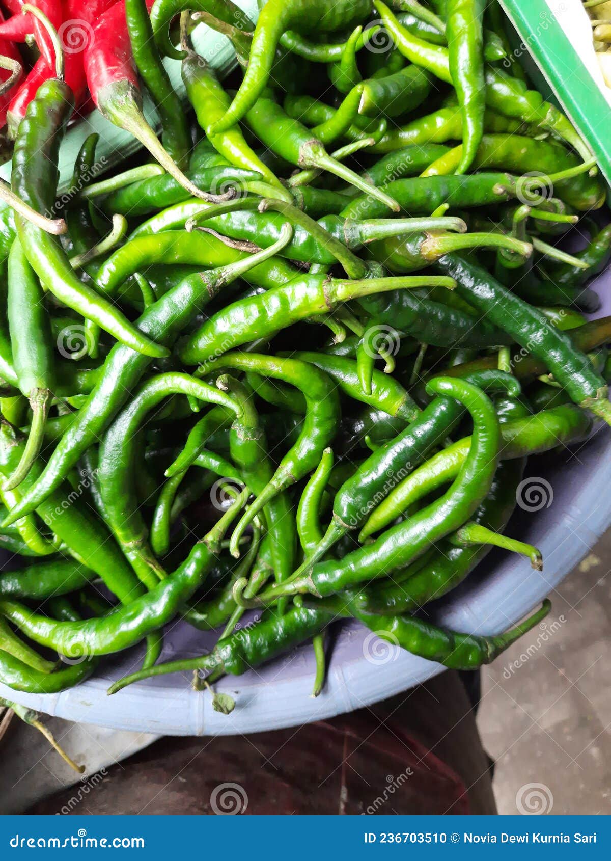 Big green chili ðŸŒ¶ stock photo. Image of green, fruit - 236703510