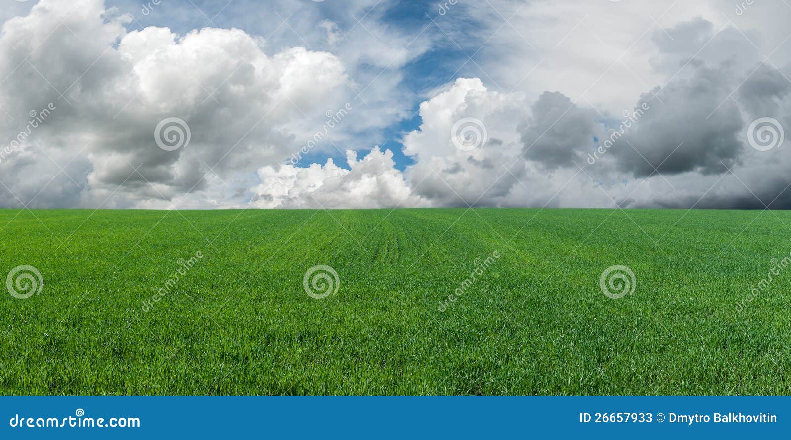 Big green field stock image. Image of grassland, beautiful - 26657933