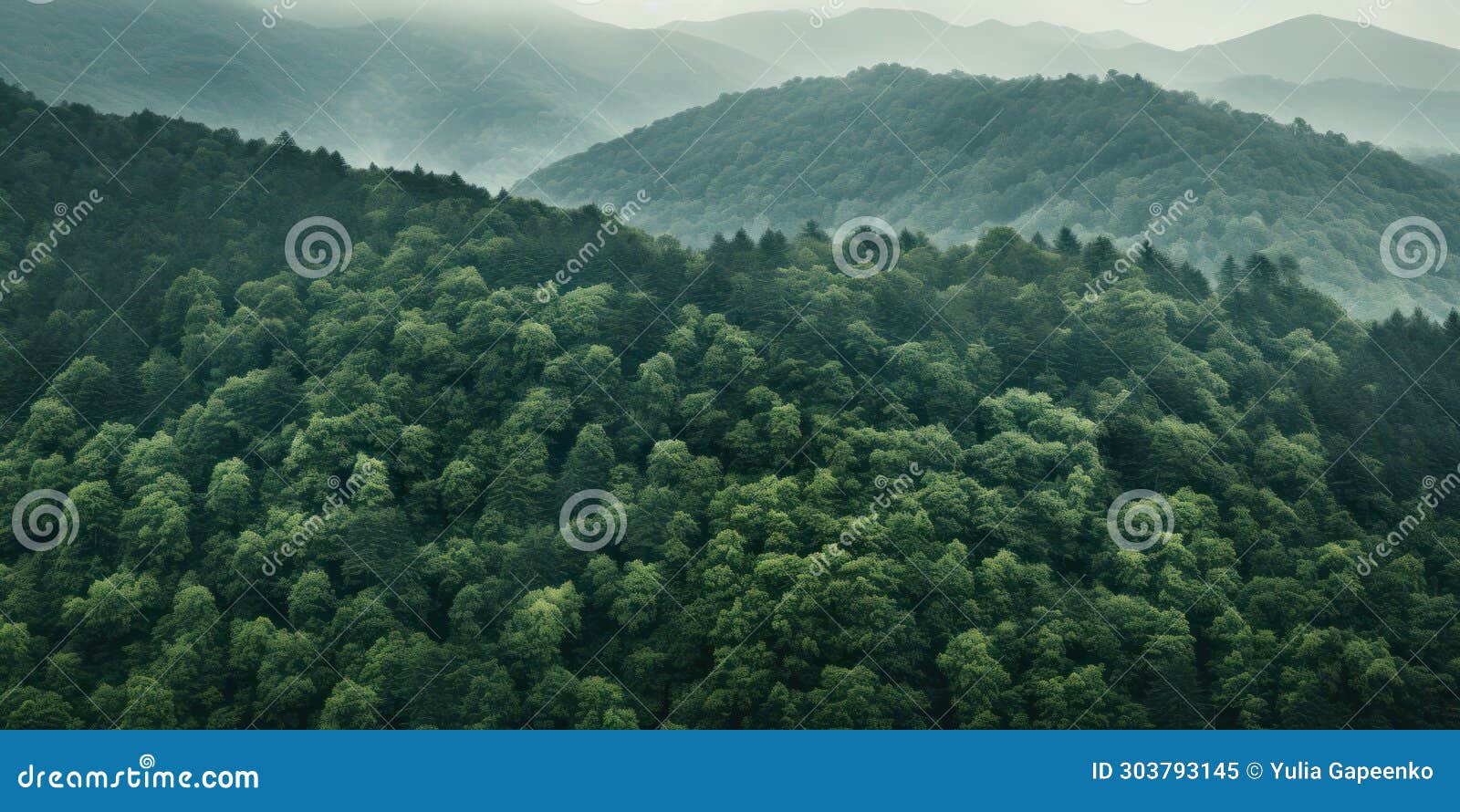 A Big Green Forest on the Side of a Mountain Stock Image - Image of ...