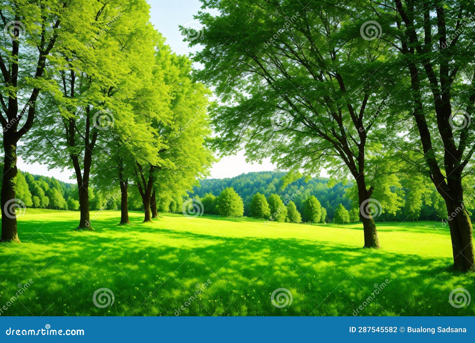 A Big Green Meadow with Trees. Stock Illustration - Illustration of ...