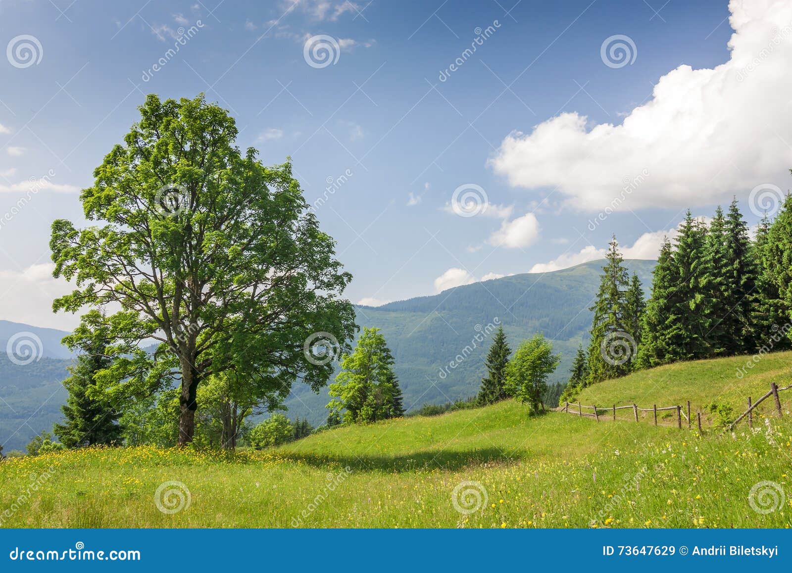 Green Mountains Photo Was Taken From Castle Muran In Mountains Muranska ...
