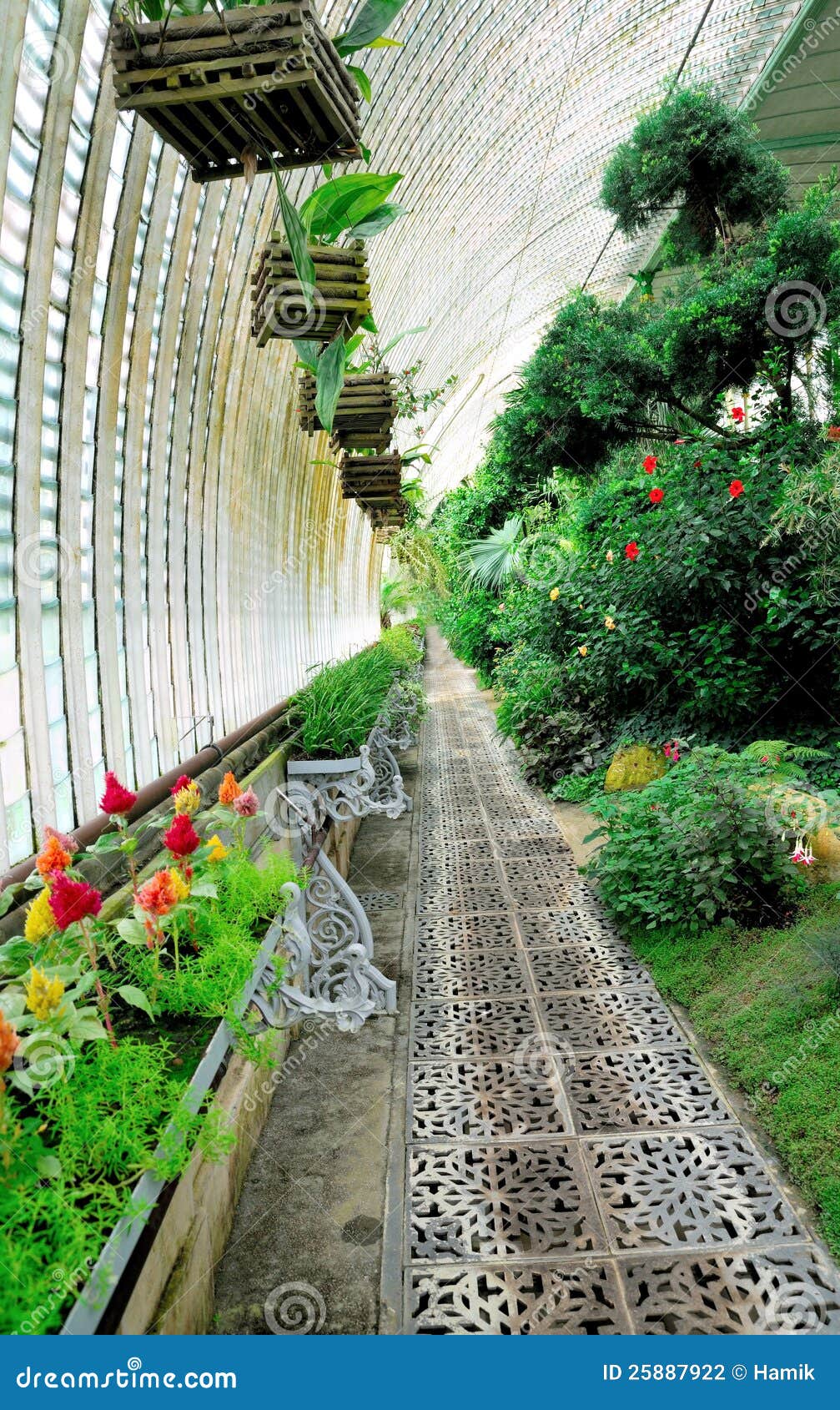 Big greenhouse stock photo. Image of farm, indoor, flower - 25887922