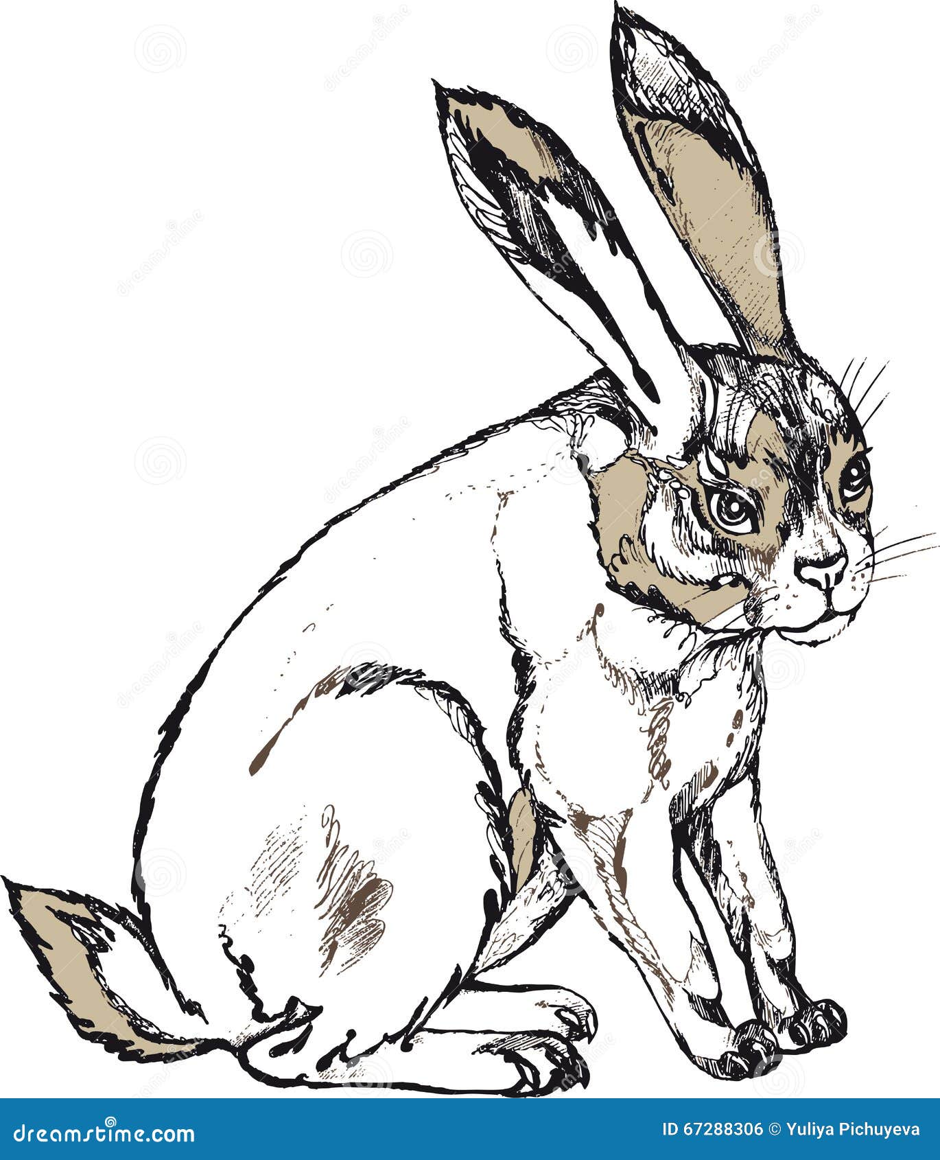 Big grey rabbit stock vector. Illustration of hand, animal - 67288306