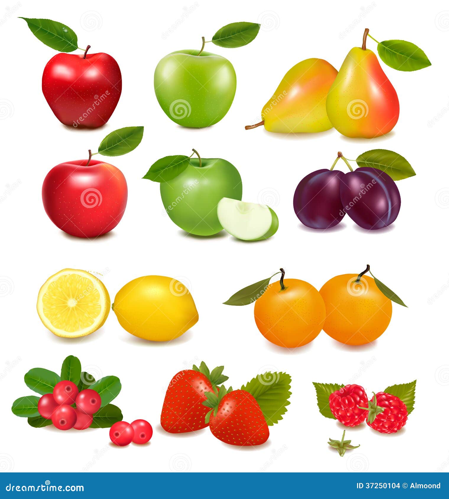 Big Group of Different Fruit. Stock Vector - Illustration of fresh ...