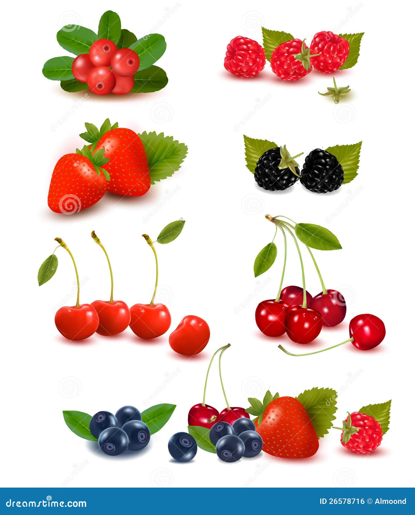 Big group of fresh berries stock vector. Illustration of gourmet - 26578716