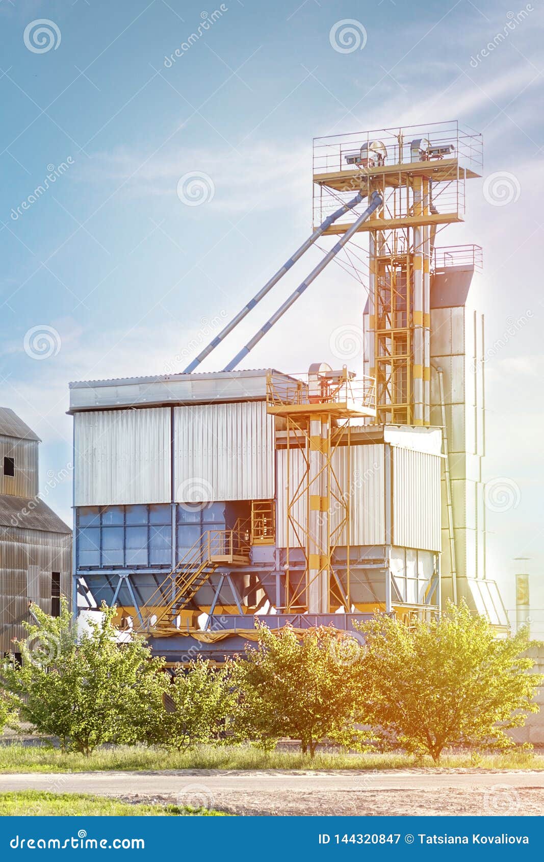 Big Group of Grain Dryers Complex for Drying Wheat. Modern Grain Silo ...